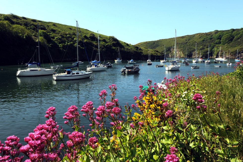 Holidays in Solva - Solva Holiday Cottages